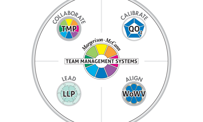 Psychometric Feedback Tools | Team Management Systems